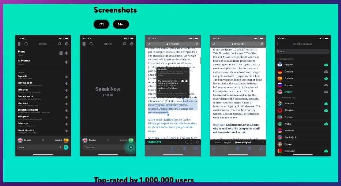 Mate Translate Review: Features, Pros, Cons, and Pricing